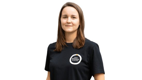 Meet Our Team