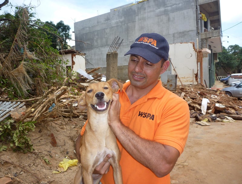 Protecting animals through the next generation of vets