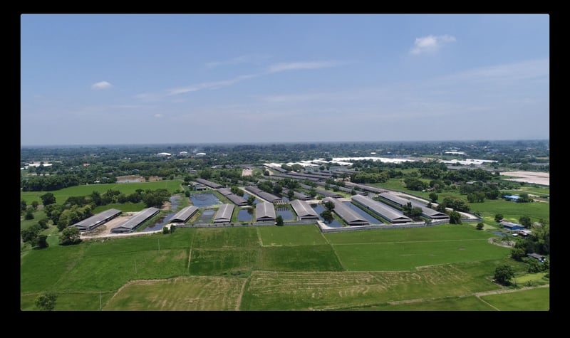 Where Are Factory Farms?