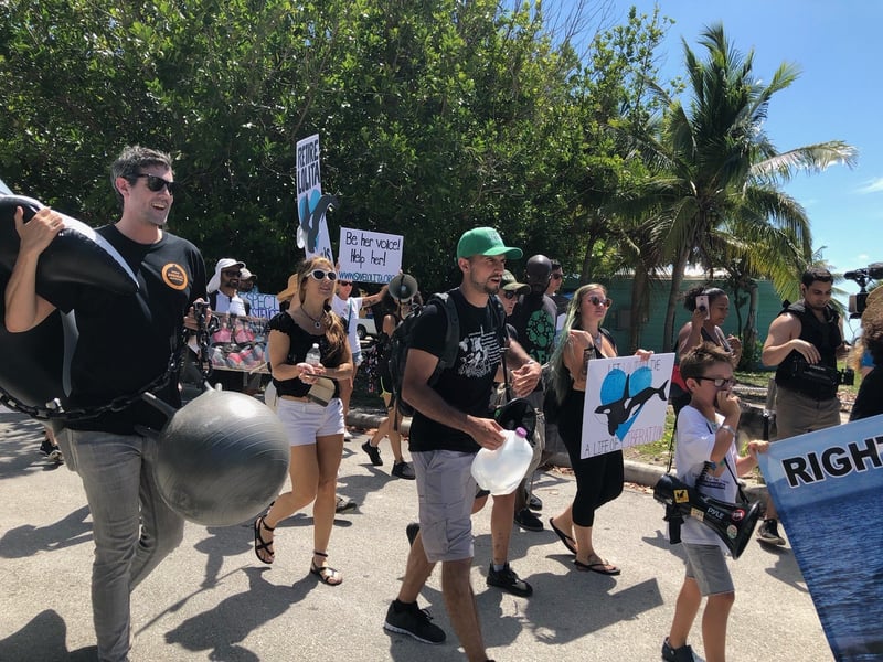 Empty The Tanks: Activists Call On Global Captive Marine Mammal Venues