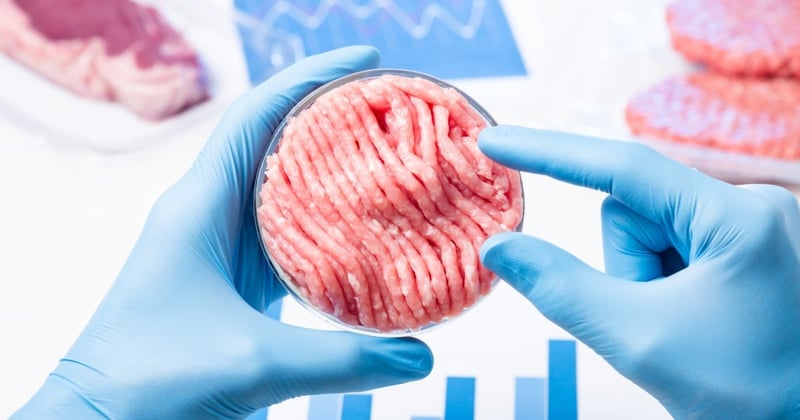 What Is Cell-Cultivated Meat?