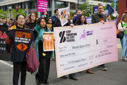 News and Blogs | World Animal Protection