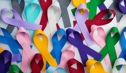 News and Blogs | World Animal Protection