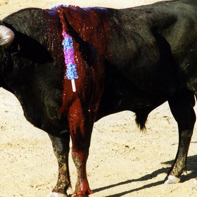 Cruelty of 'Running of the Bulls' exposed