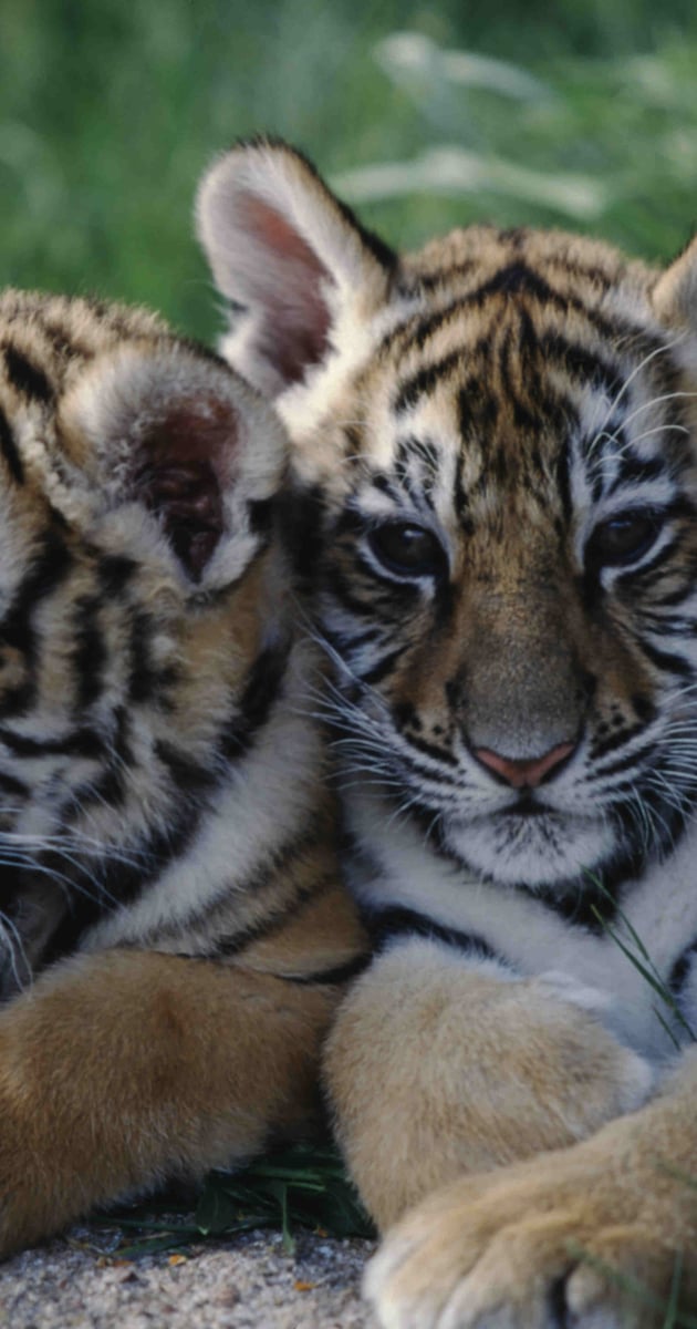 Animal Facts | Education Center