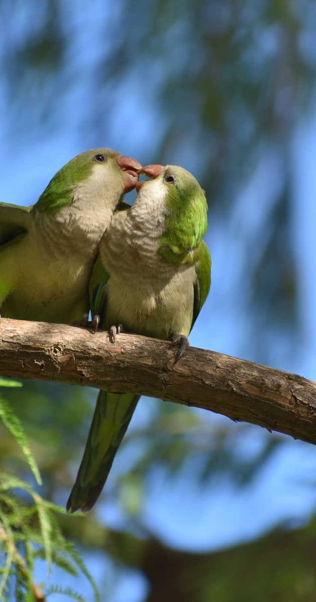 A Heartfelt Thank You to New York Community Trust!