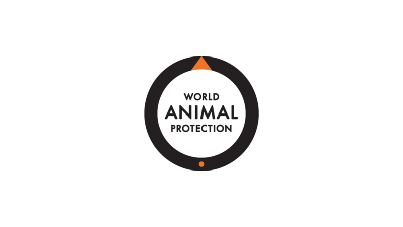 News and Blogs | World Animal Protection