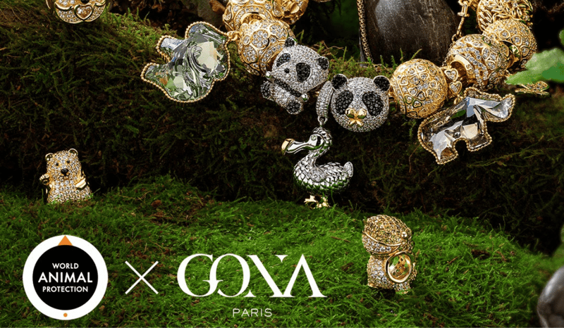 World Animal Protection | Ending Cruelty and Suffering. Forever.