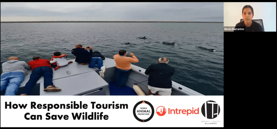 Wildlife-Friendly Travel
