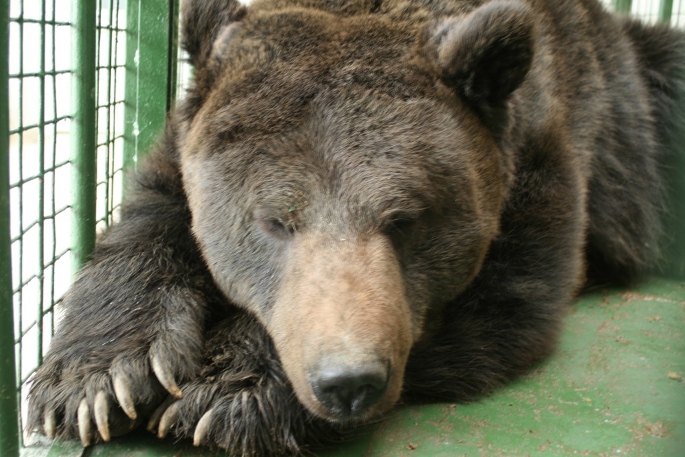 From fear to freedom - Max's story