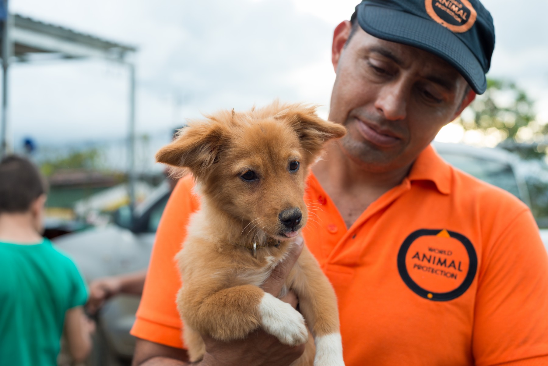 Gifts that Give Back to Animals