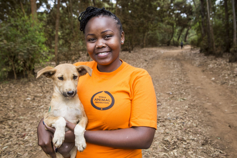 5 ways dogs can help your mental health