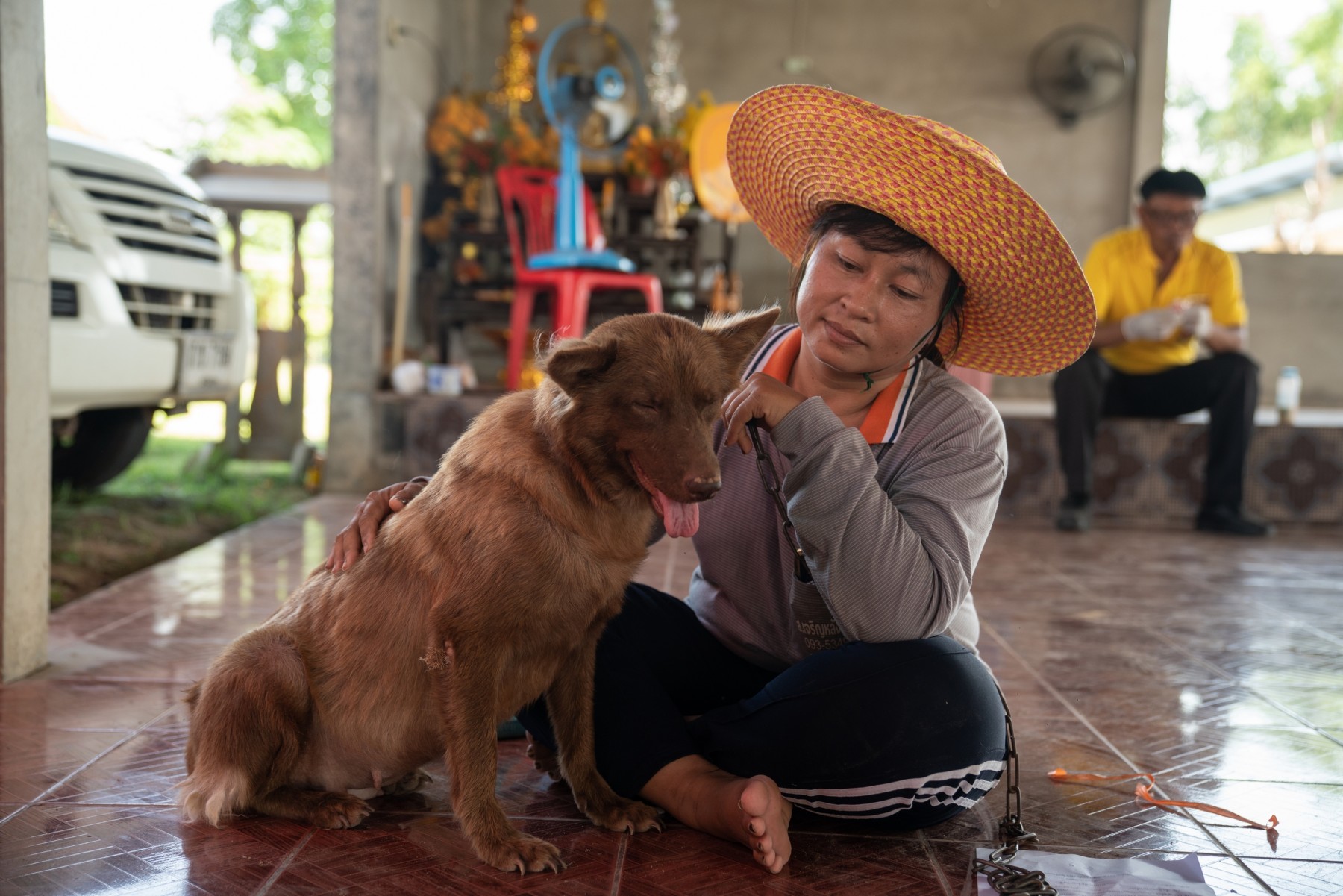 10 Amazing Achievements for Dogs in the Past Decade