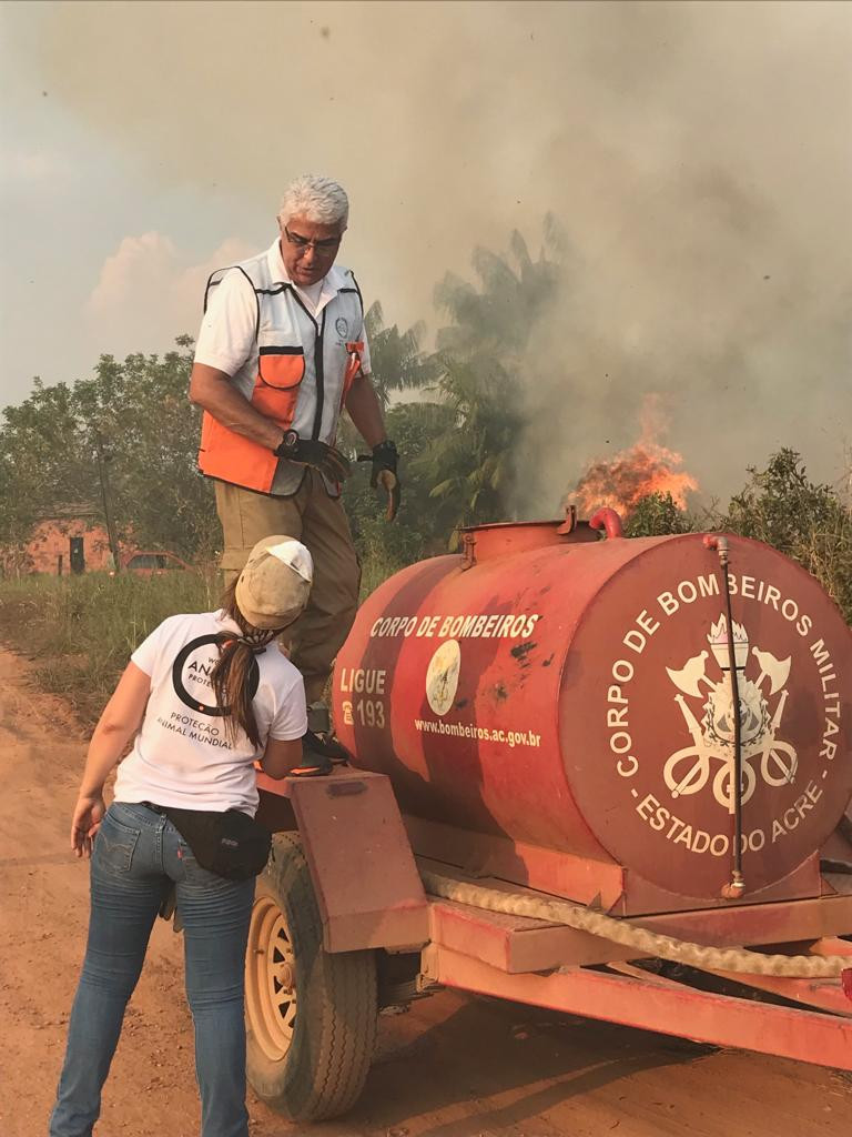 Amazon fires: our team of vets is in rainforest urgently protecting animals