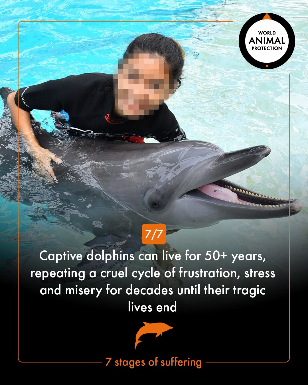 Captive Dolphins Endure Seven Stages of Suffering in their Lives