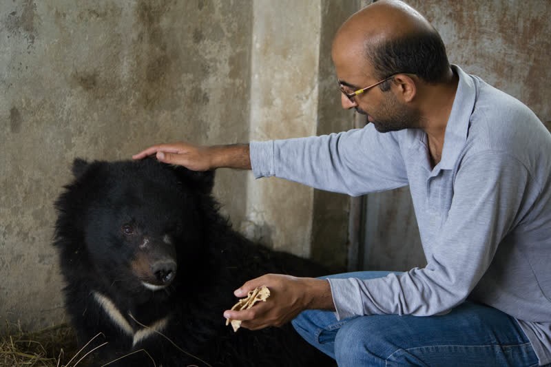 Pakistan Sanctuary Extension to Help Free all Remaining Captive Bears