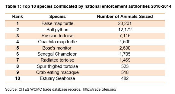 Gaps in data places thousands of illegally traded wild animals at risk