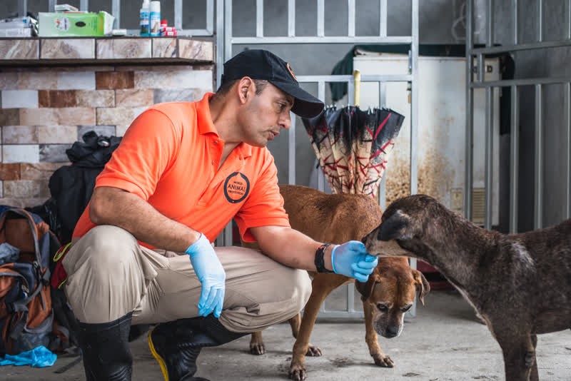 Animals in Need after Costa Rican Floods