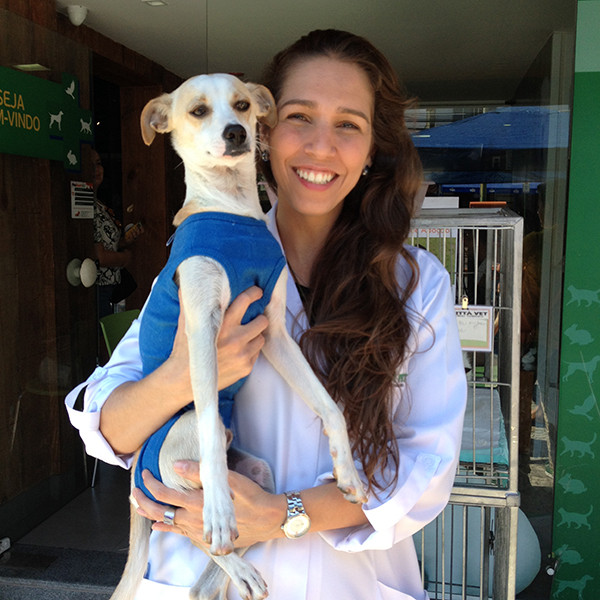 Meet the rescue dogs of Rio