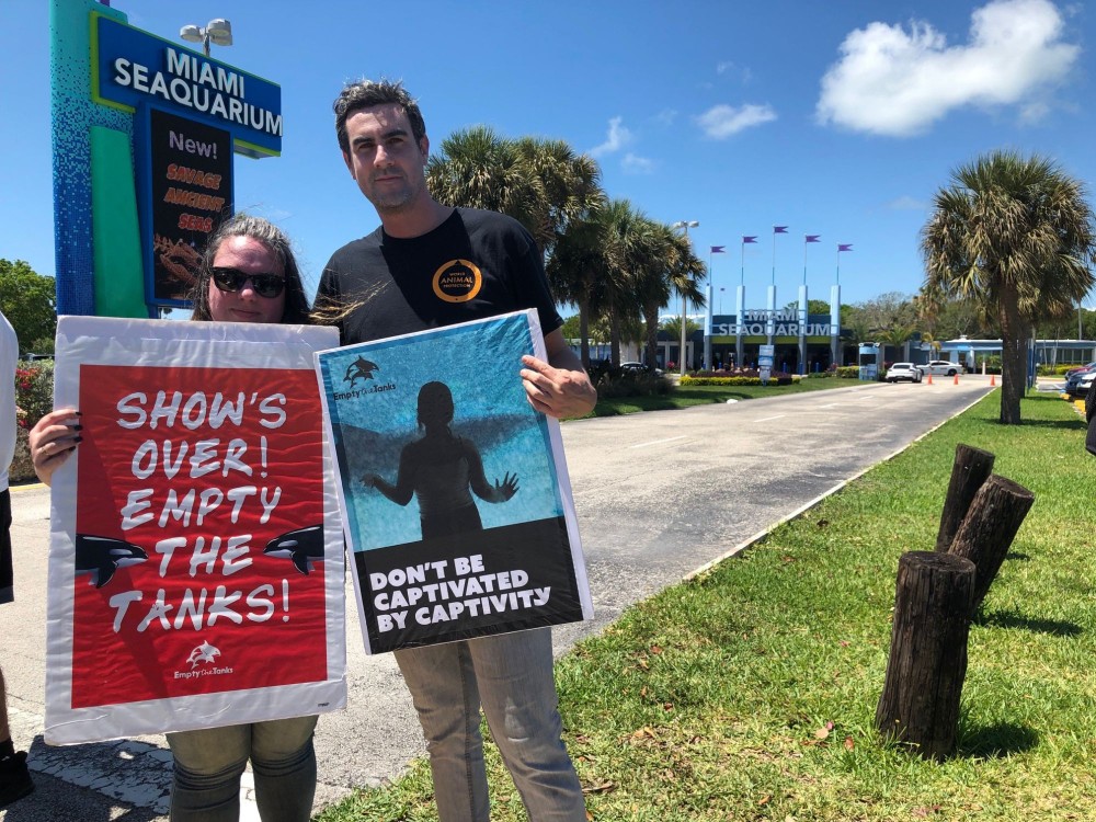 Empty The Tanks: Activists Call On Global Captive Marine Mammal Venues