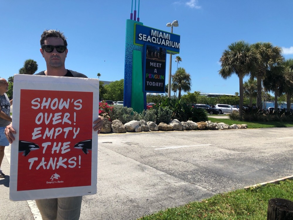Empty The Tanks: Activists Call On Global Captive Marine Mammal Venues