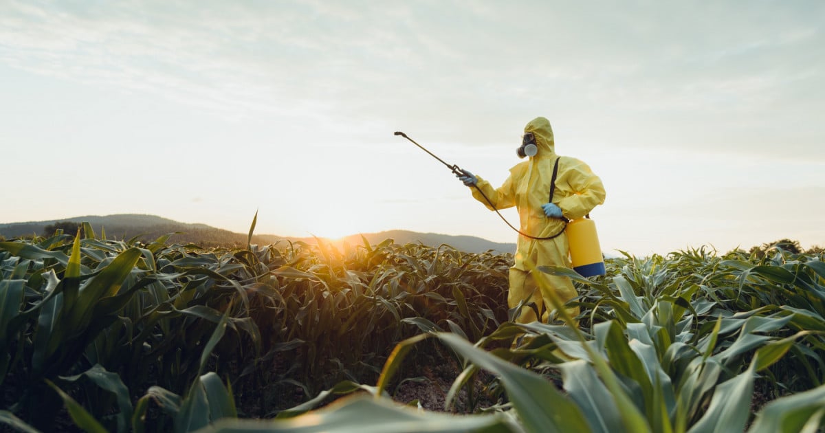 The Hidden Health Impacts of Factory Farming