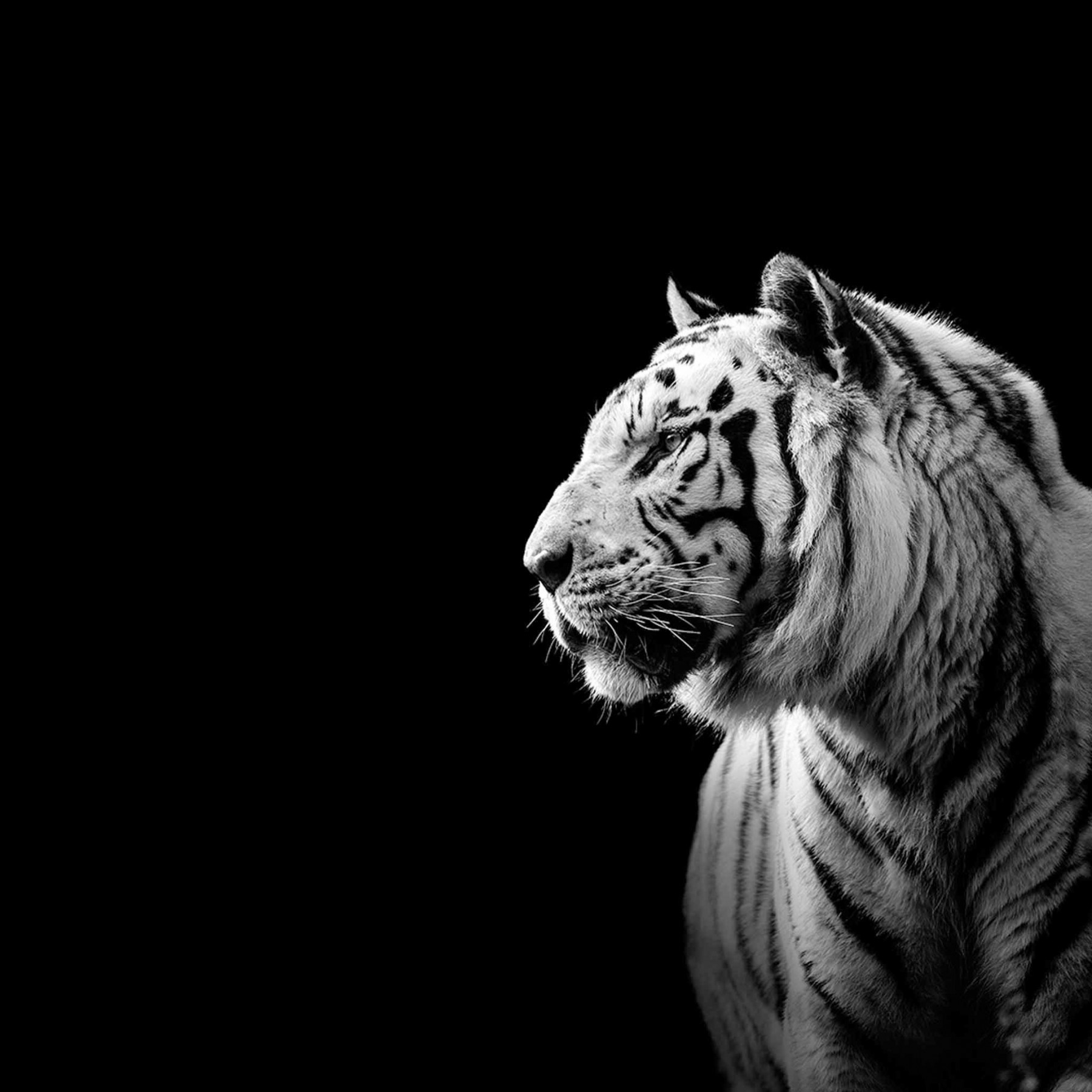 5 Frightening Facts About Wildlife Entertainment Experiences