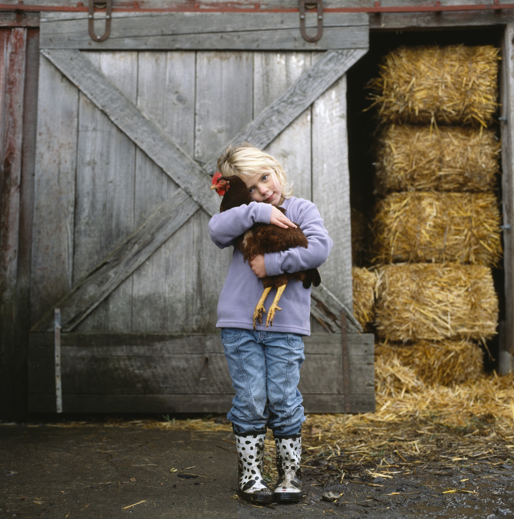 10 Photos of Animals Hugging That Will Make You Smile