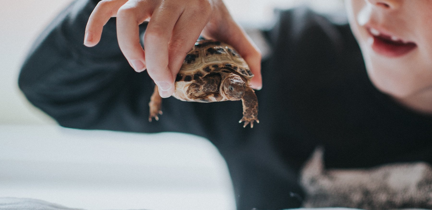 4 Reasons to End Classroom “Pet” Programs