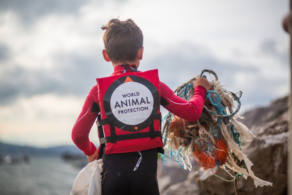 Joanna Toole Award Fund to Protect Animals Opens for Second Year