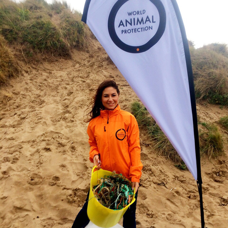 In memory of Jo Toole, an extraordinary protector of marine animals
