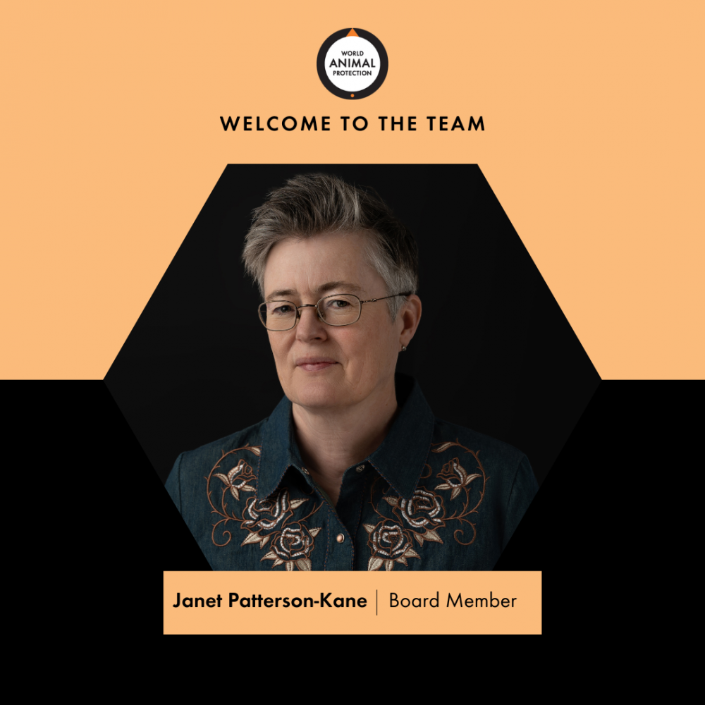 World Animal Protection US Welcomes Two New Board Members