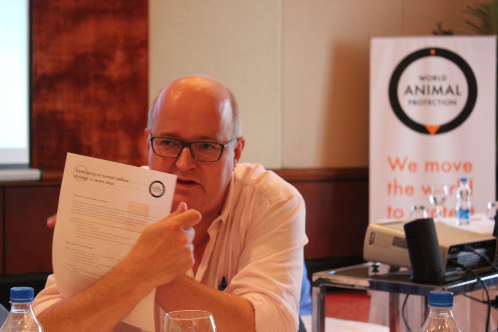 Remembering Martin Cooke: Our Colleague and Animal Welfare Advocate