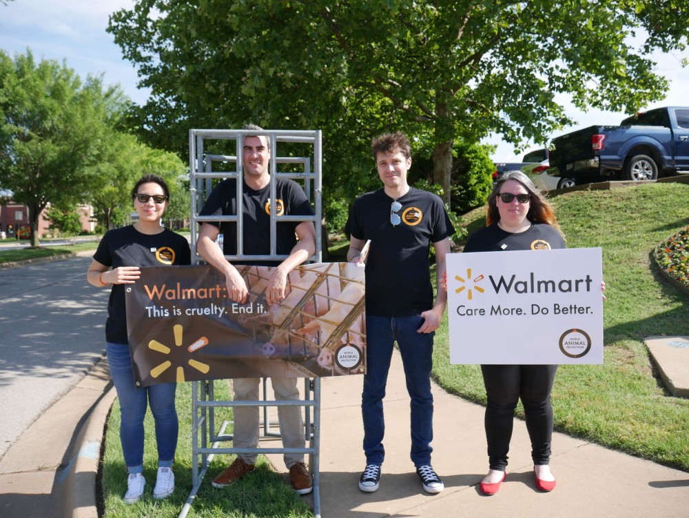 Our Protest Outside of Walmart’s Annual Shareholder Meeting