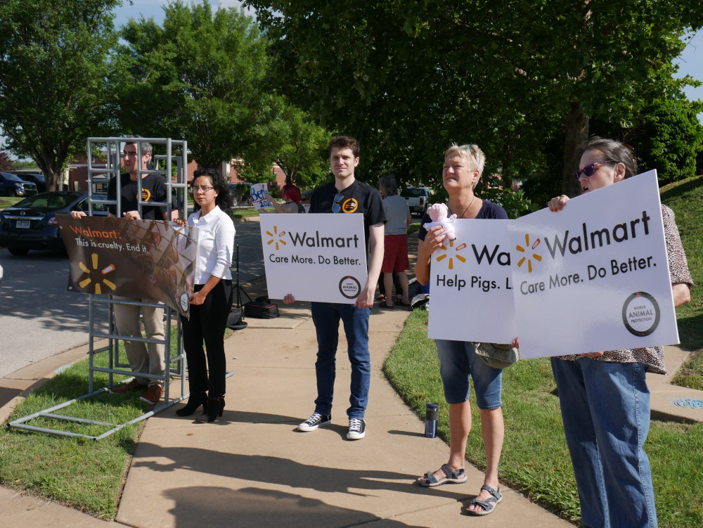 Our Protest Outside of Walmart’s Annual Shareholder Meeting