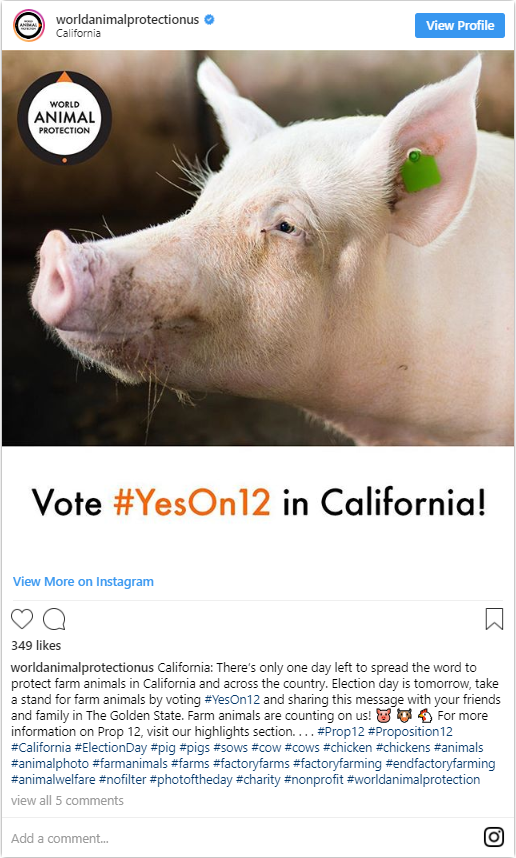 A Victory for Farm Animals: Prop 12 Passes in California