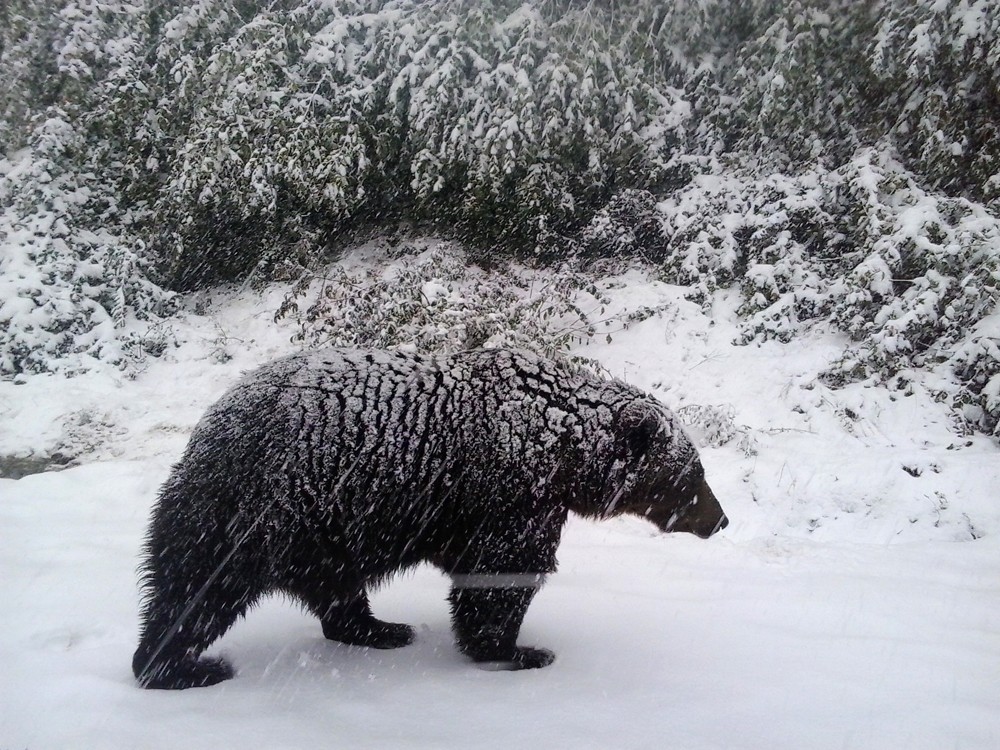 Feeling the cold? You’re not the only one!