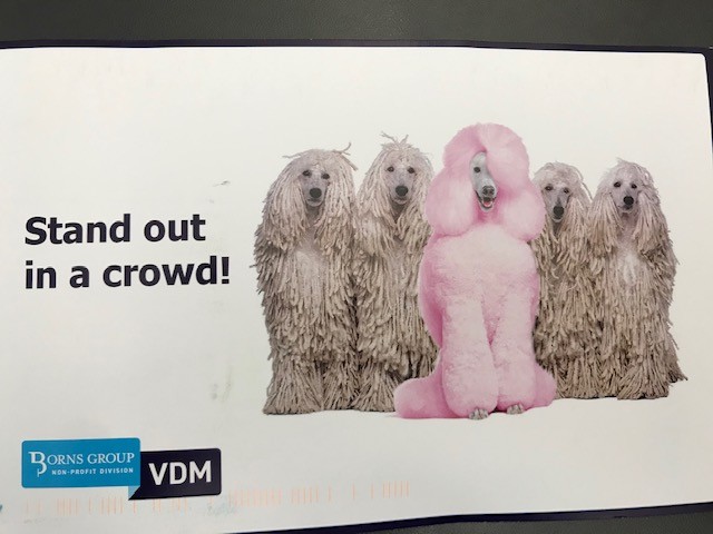 We're Moving Advertisers to Eliminated Misguided Poodle Postcard