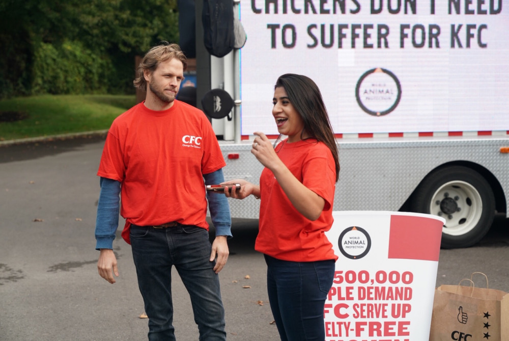 Over Half a Million People Demand KFC Does Better for Chickens