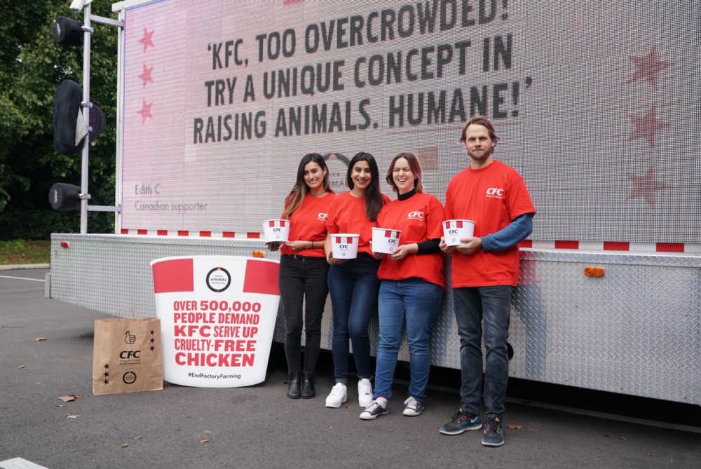 Over Half a Million People Demand KFC Does Better for Chickens