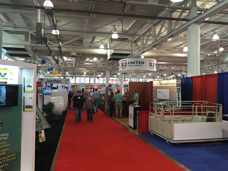 World Pork Expo Gives Glimpse Into the Lives of Factory Farmed Pigs