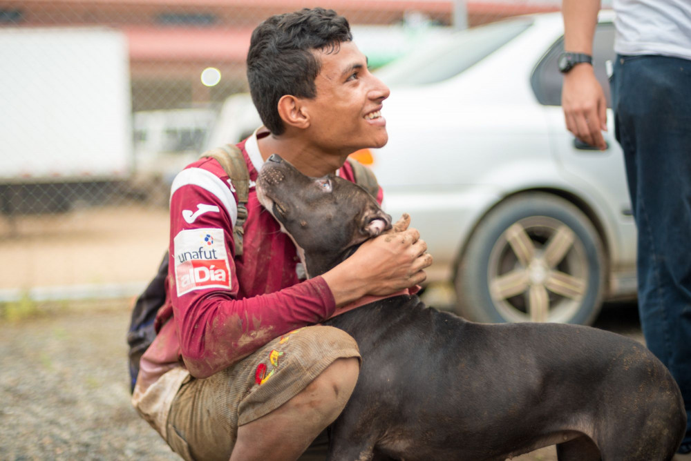 We’re working to save 70,000 animals after Hurricane Otto in Costa Rica