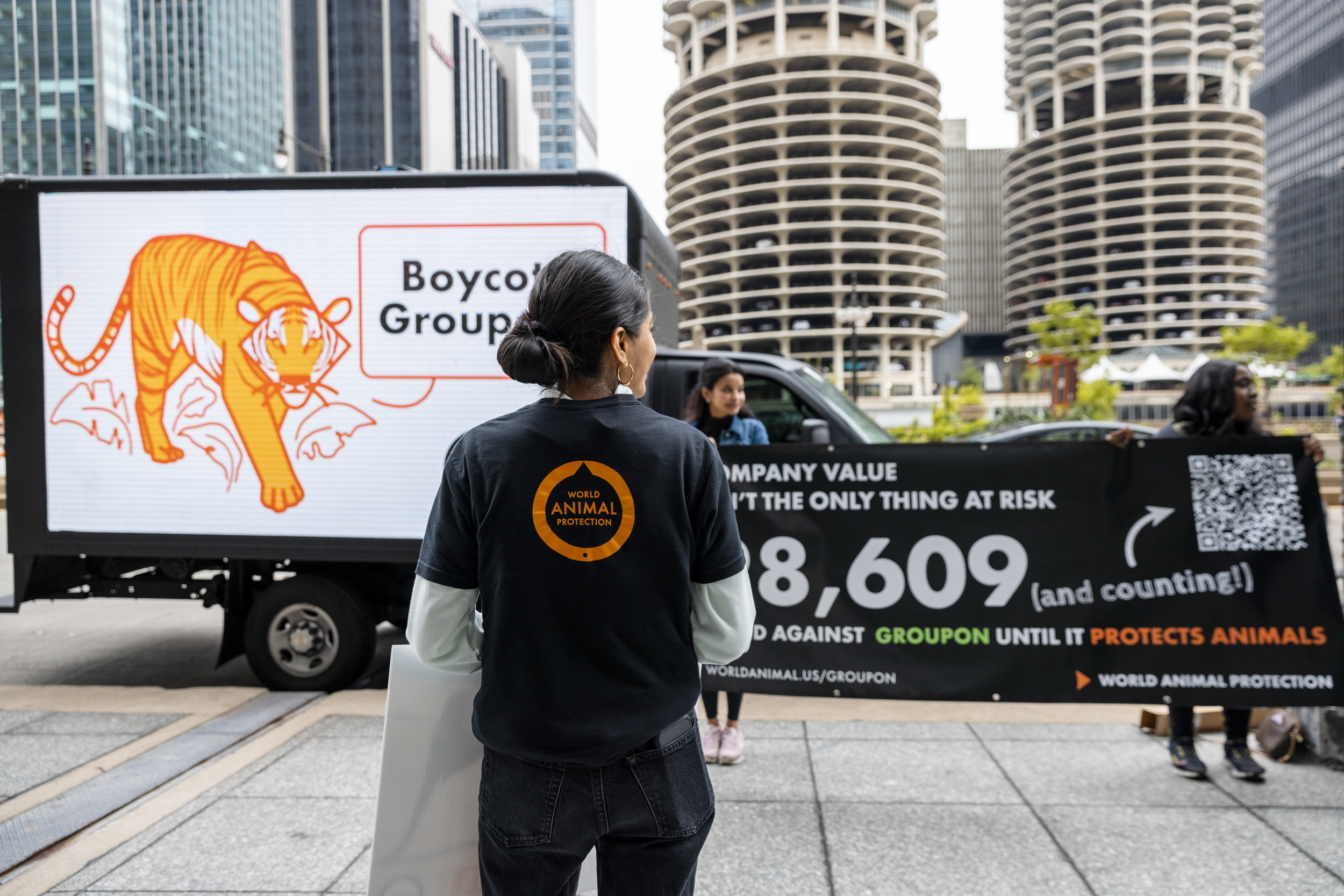 About Us | World Animal Protection