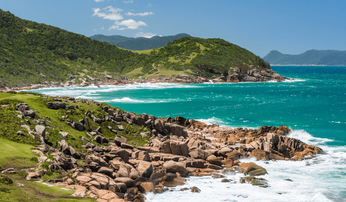 A Place Where Whales Are Born: Santa Catarina Nursery Now a Whale ...