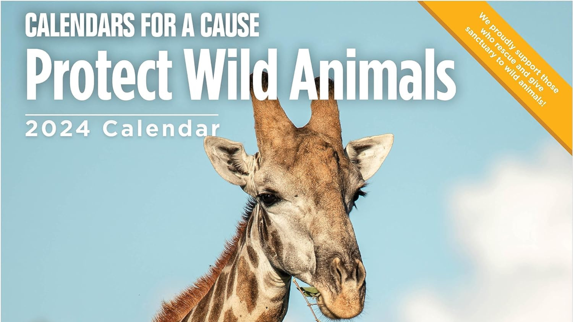 Ways to Protect Animals: Shop to Support Wildlife